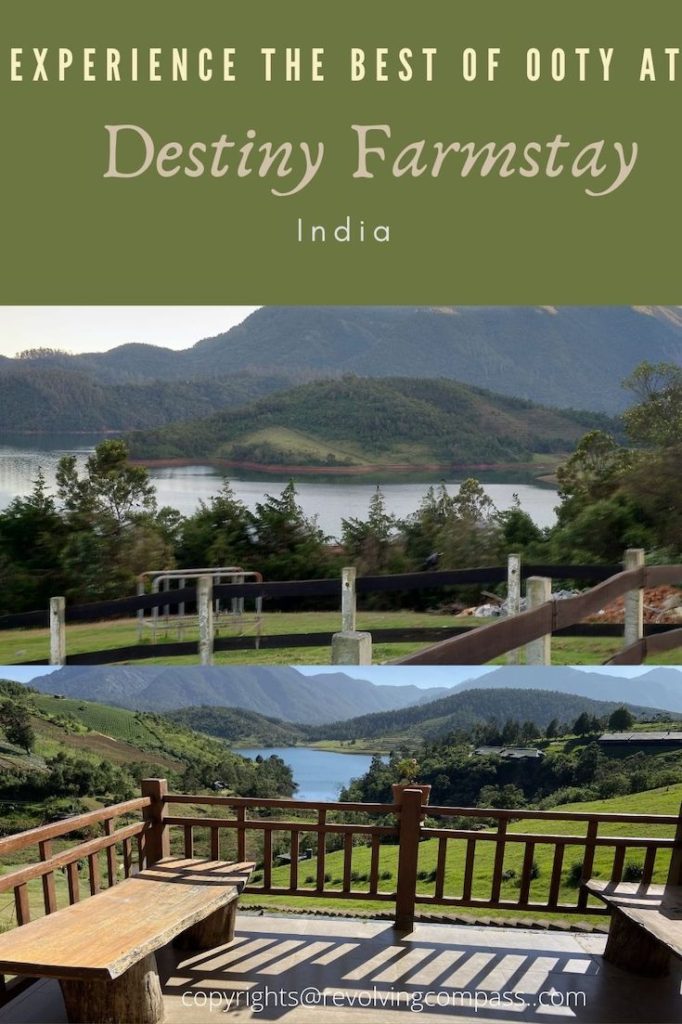 A unique stay experience at Destiny Farmstay Ooty - The Revolving Compass