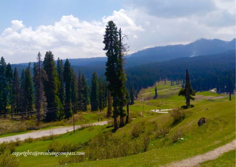 Things to do in Doodhpathri Valley Kashmir - the heaven on earth - The ...