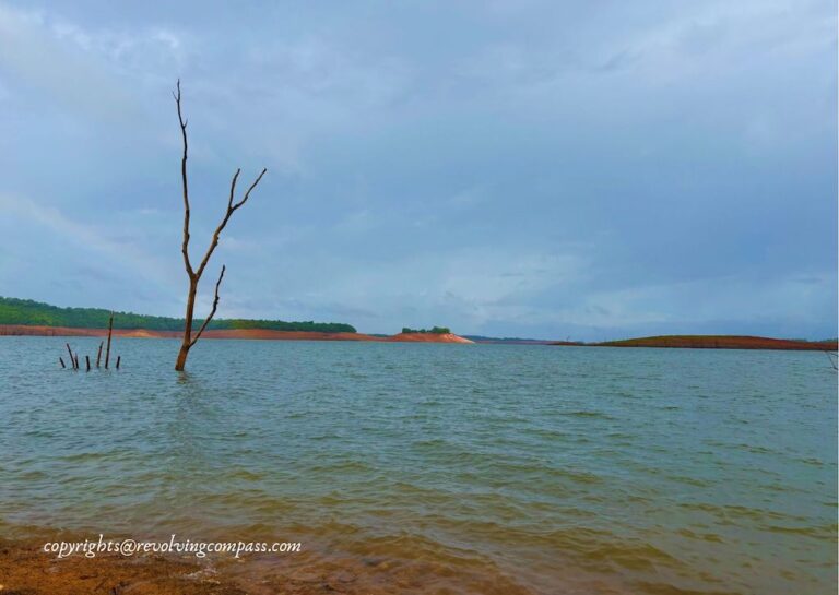 Honnemaradu Shimoga - the best kept secret of river Sharavathi - The ...
